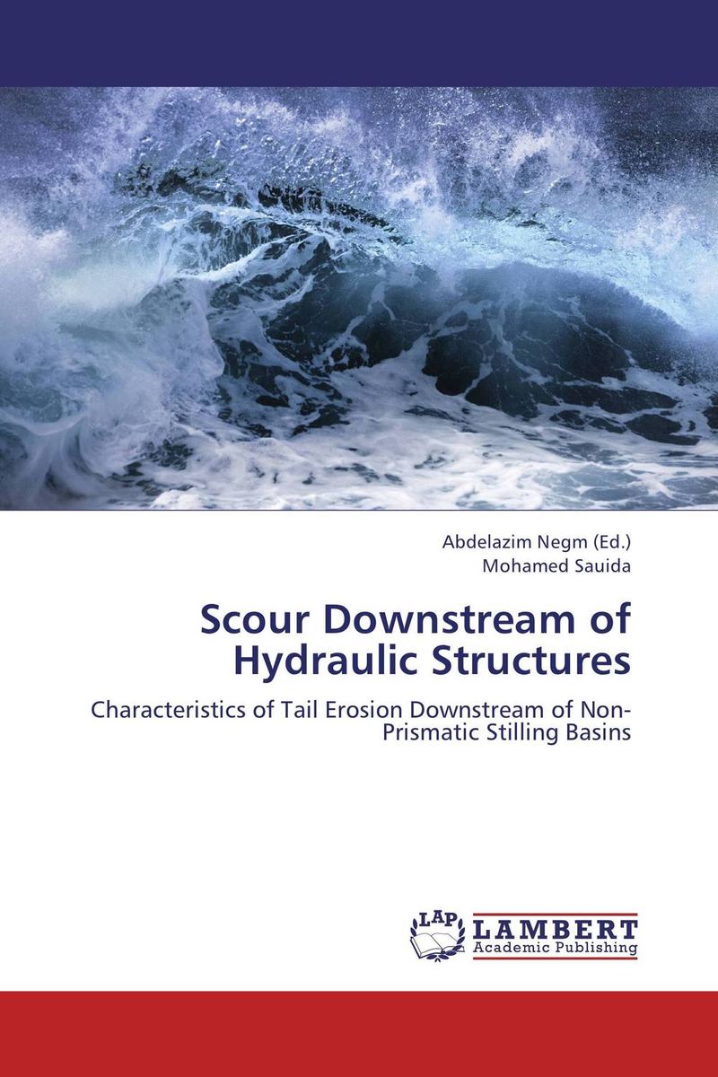 Scour Downstream of Hydraulic Structures купить на OZON по низкой цене ...