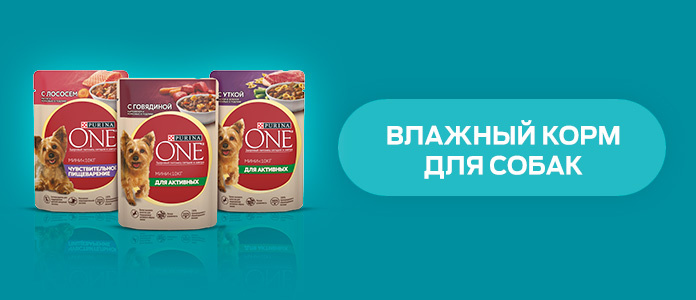 Purina One — купить товары бренда Purina One в интернет-магазине OZON