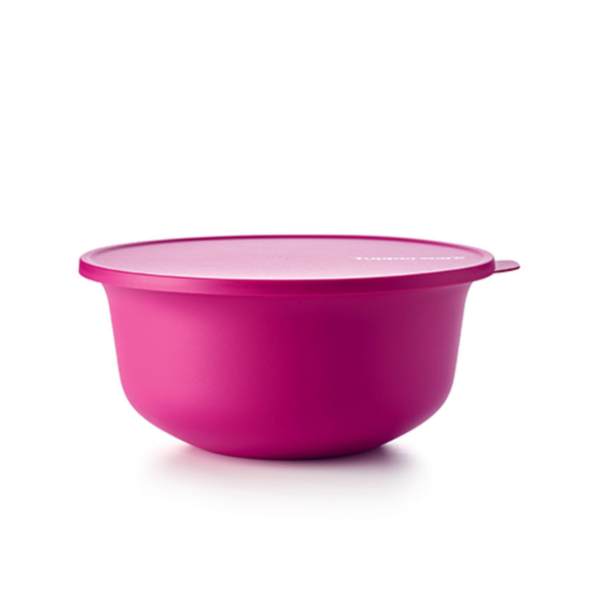 Миска Tupperware, 4000 мл, Пищевой пластик купить по низкой цене в интернет-магазине OZON ...