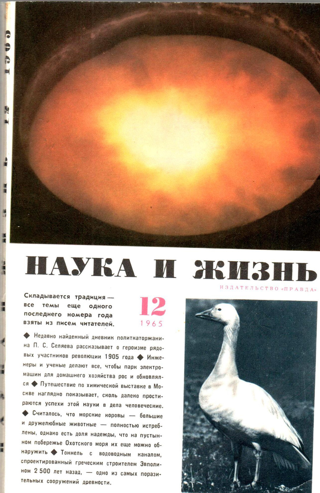 Журнал Наука и жизнь №12 1965 - купить с доставкой по выгодным ценам в интернет-магазине OZON ...