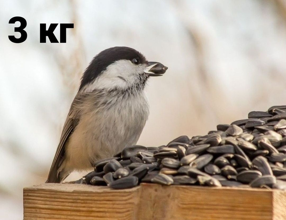 Семечки подсолнуха 3000гр отсев для птиц неочищенные сырые Урожай ...