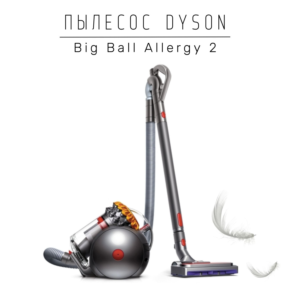 Пылесос Dyson Big Ball Allergy 2, серый - купить с доставкой по ...