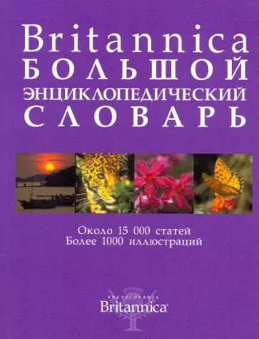 Книга. Большой энциклопедический словарь - купить с доставкой по ...