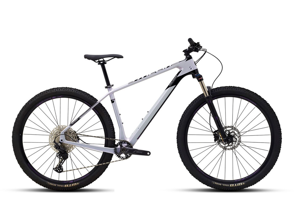 Горный велосипед Polygon SYNCLINE C2 29 (22) 20 XL GRY TA - купить по ...