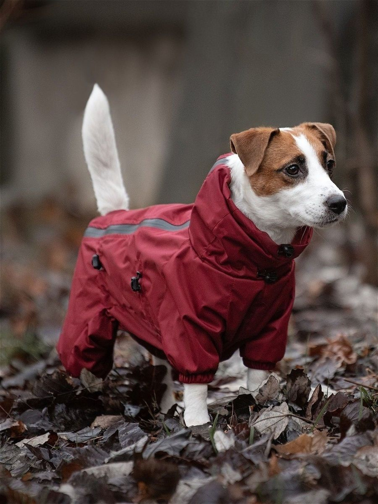 Дождевик Joy Jack Solo - купить с доставкой по выгодным ценам в ...