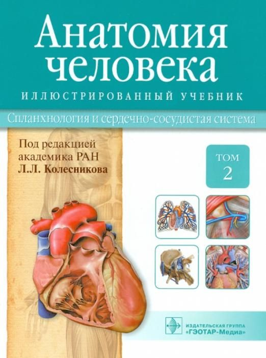 Анатомия человека Учебник В 3 х томах Том 2 Спланхнология и
