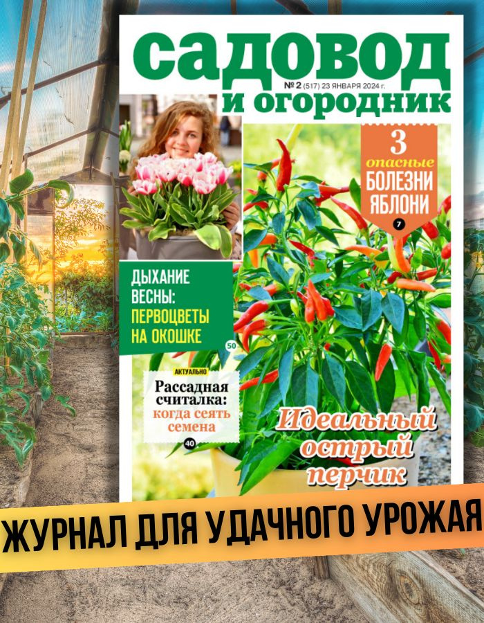 Журнал Садовод и огородник №2/24, Дневник садовода и огородника. Яблоня ...