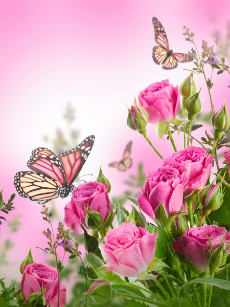 фотоштора LeJoy ШКХ-ГБ-F580 , 180х290см, Габардин купить c доставкой на ...