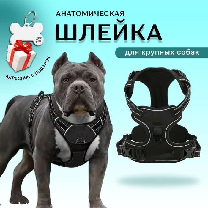Шлейка анатомическая для крупных собак S - купить с доставкой по ...
