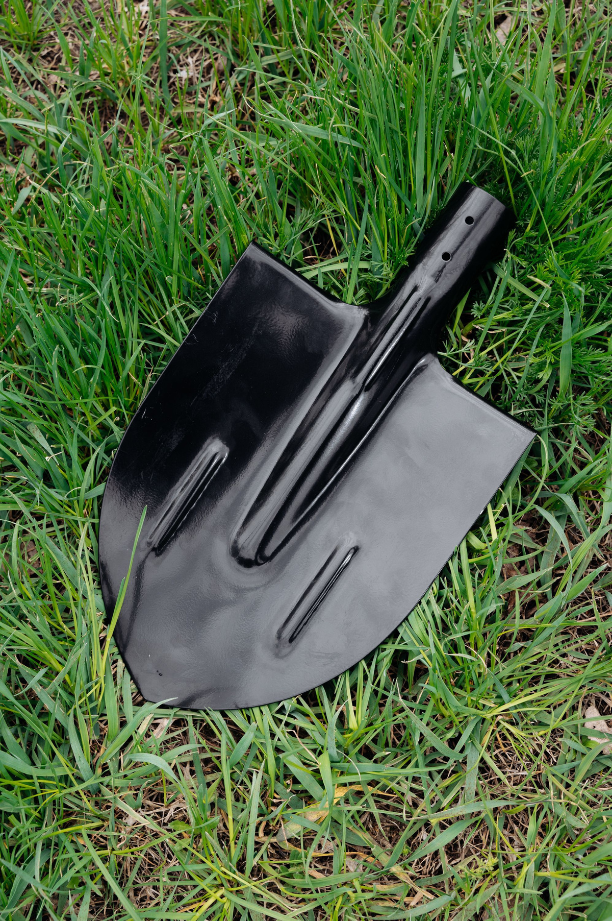 Лопата штыковая FACHMANN, Сталь купить по выгодной цене в интернет ...