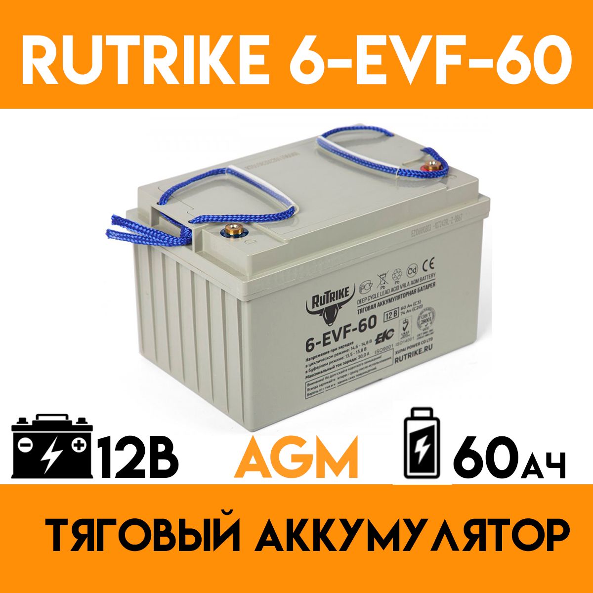 Тяговый аккумулятор RuTrike 6-EVF-60 (12V60A/H C3) для ...