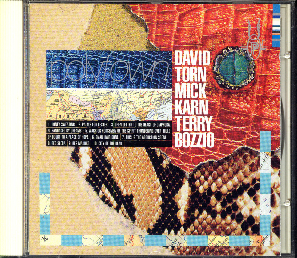CD David Torn / Mick Karn / Terry Bozzio. Polytown (Japan, Jimco ...