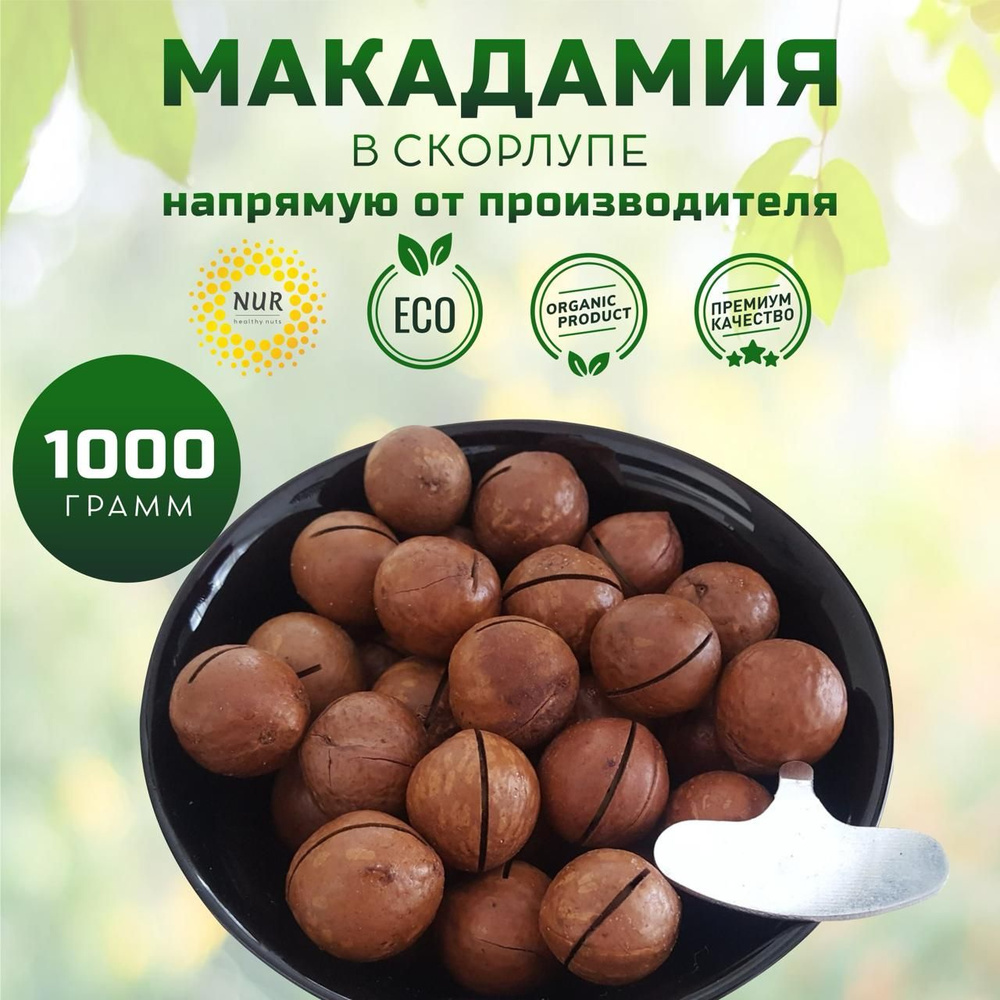 Макадамия в скорлупе 3А неочищенная Новый урожай Premium - купить с ...
