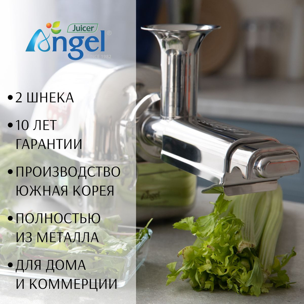 Соковыжималка шнековая Angel Juicer Angelia, серебристый - купить по ...