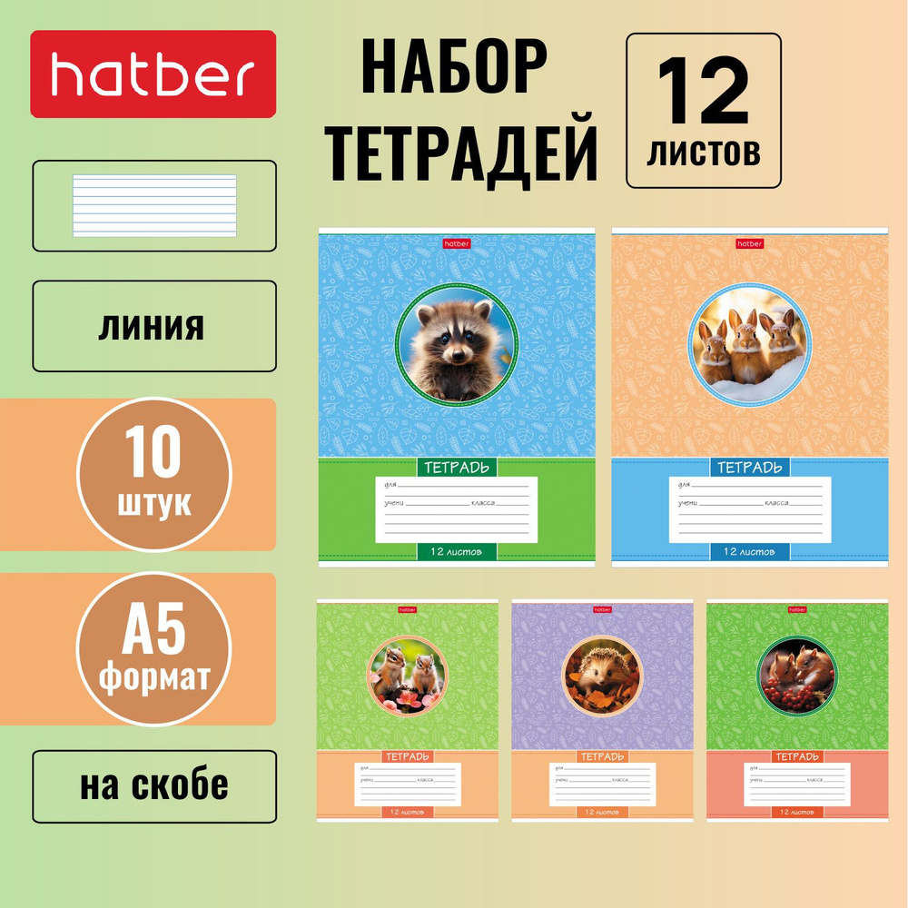 Набор тетрадей Hatber 12 листов формата А5, линия, 65 г/кв. м, 5 дизайнов/10 тетрадей в блоке ...