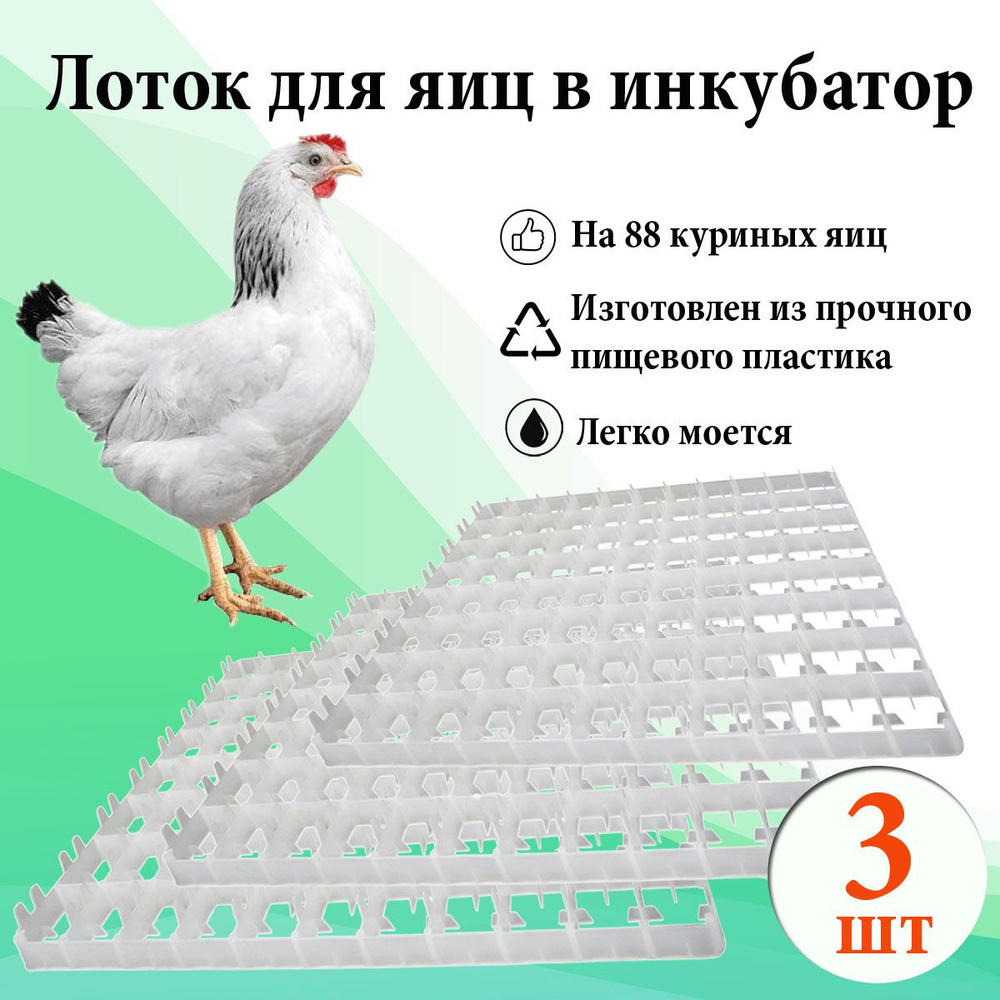 Лоток для яиц в инкубатор на 88 куриных яиц купить на OZON по низкой ...
