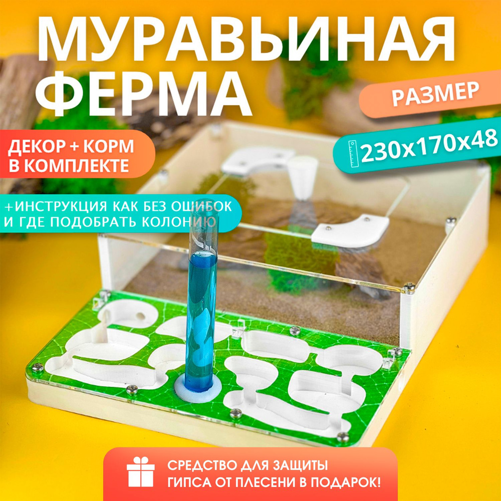 Средняя гипсовая муравьиная ферма AntBerry. ВСЕ включено. Формикарий ...
