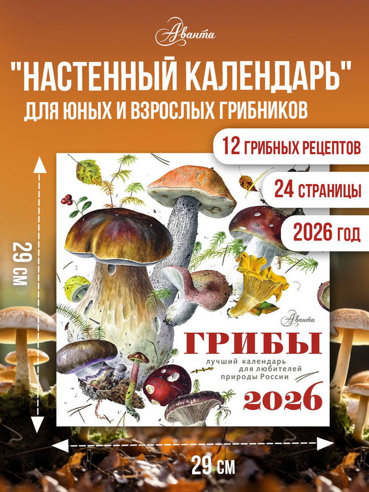 Календарь Грибы 2026 год купить на OZON по низкой цене (2802015387)
