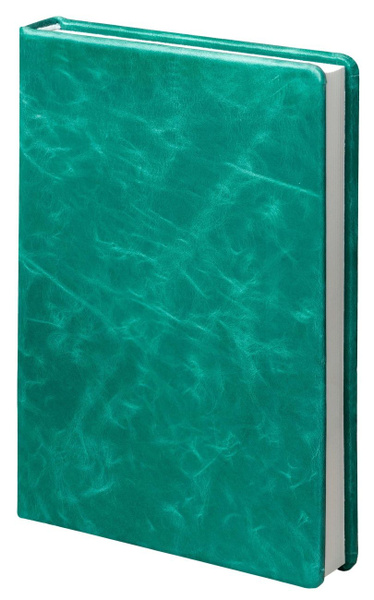 Attache Еженедельник Недатированный A4 (21 × 29.7 см), листов: 136 купить на OZON по низкой цене ...