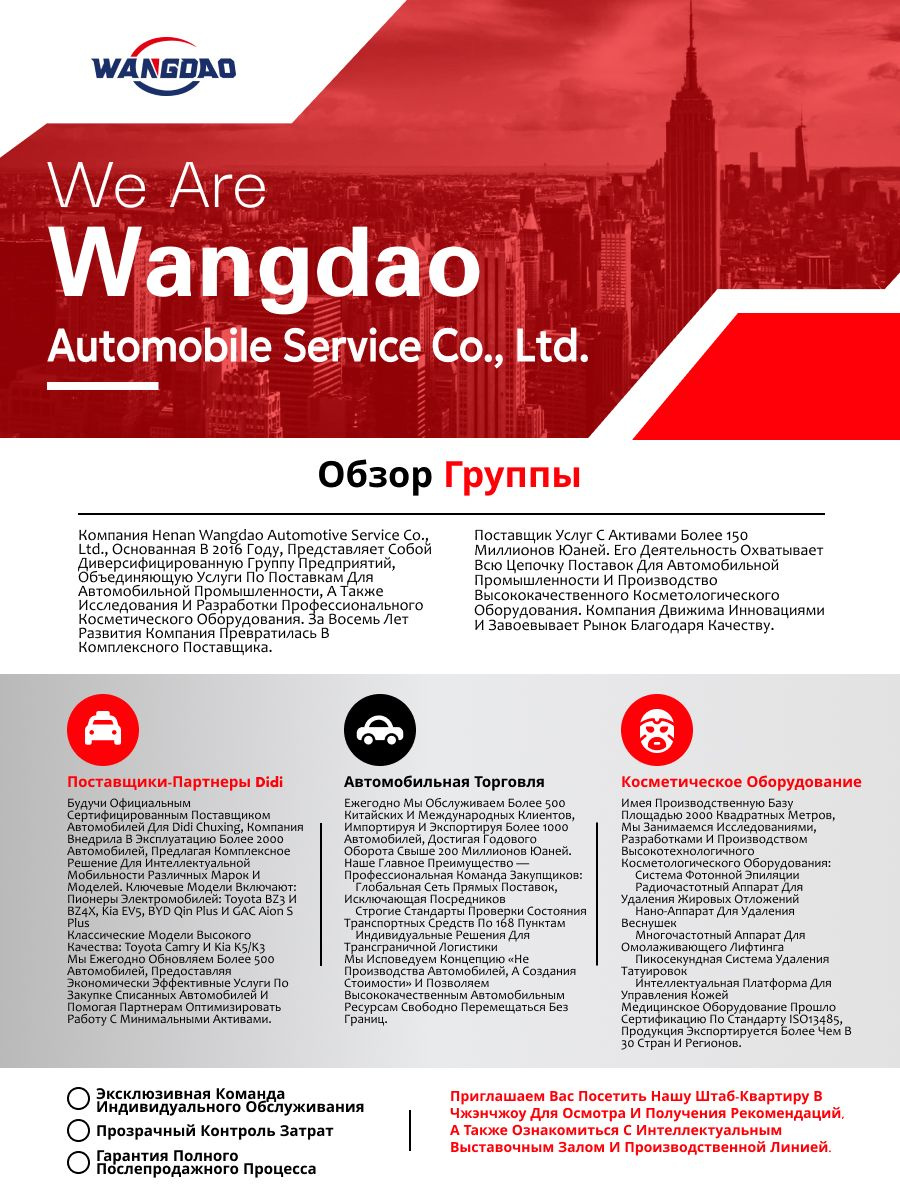 WANGDAO Фотоэпилятор Профессиональный Диодный Лазерный Эпилятор, Аппарат для Лазерной Эпиляции ...