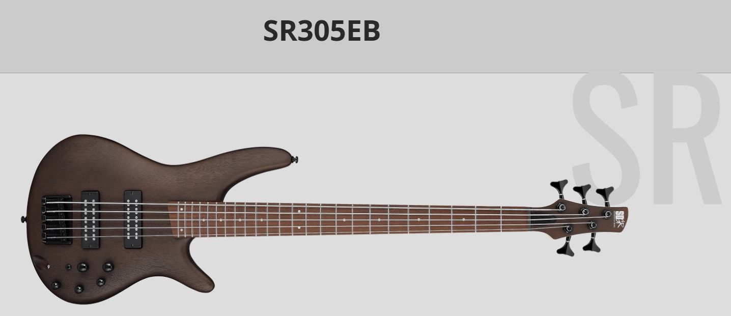 электрический бас IBANEZ SR305EB (Сделано в Индонезии) купить на OZON ...
