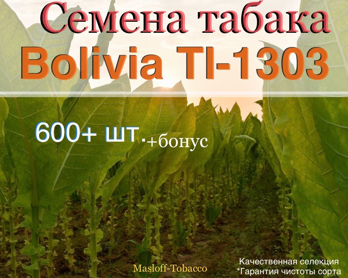Andrey Masloff - Company табак..., 0.1 г - купить с бесплатной ...
