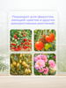 Кокосовый субстрат в брикете / Coco Brick, 5 кг / Simplex купить c ...