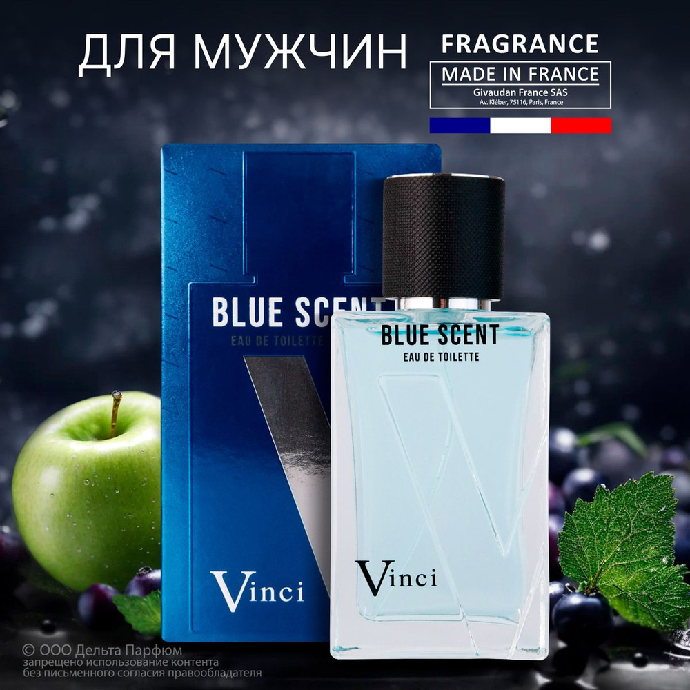 Vinci Blue Scent Туалетная вода 100 мл (1422066534)