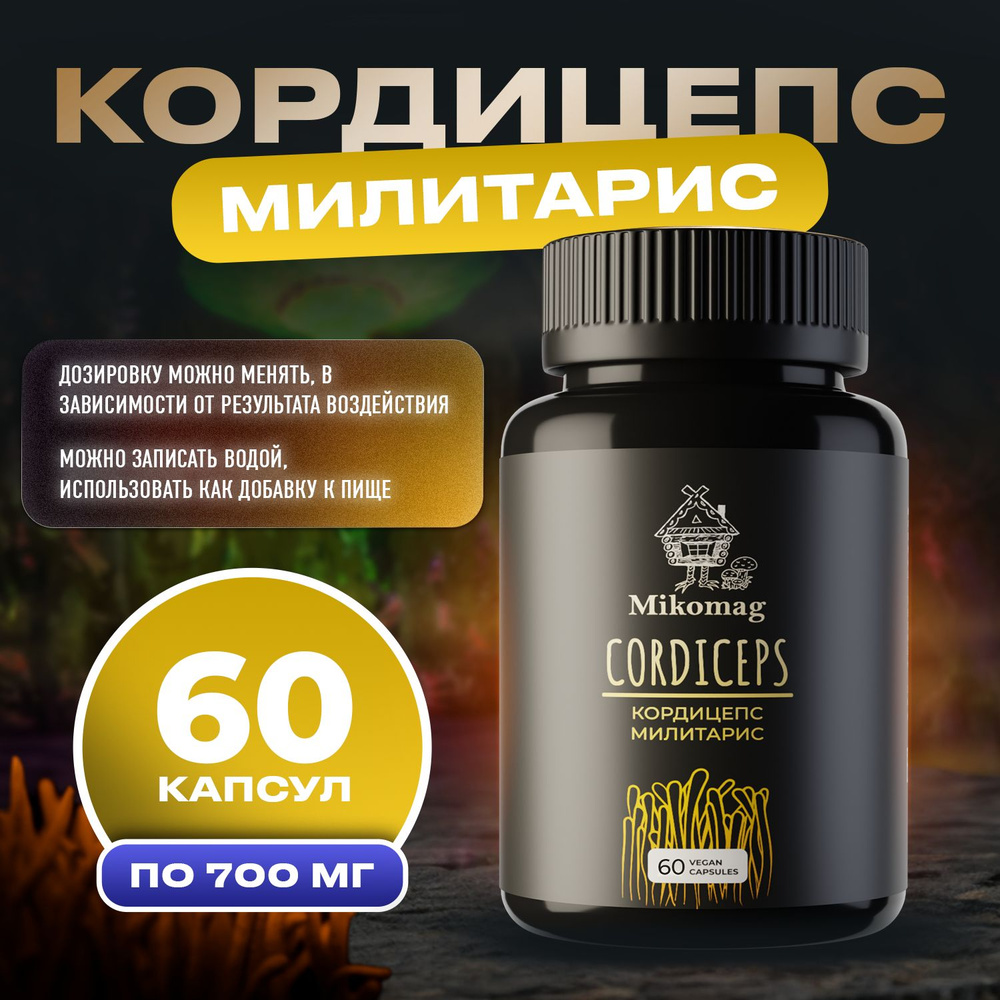 Кордицепс милитарис (Cordyceps militaris), микс мицелий и плодовые тела ...