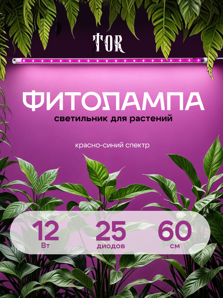 Фитолампа купить на Ozon по низкой цене