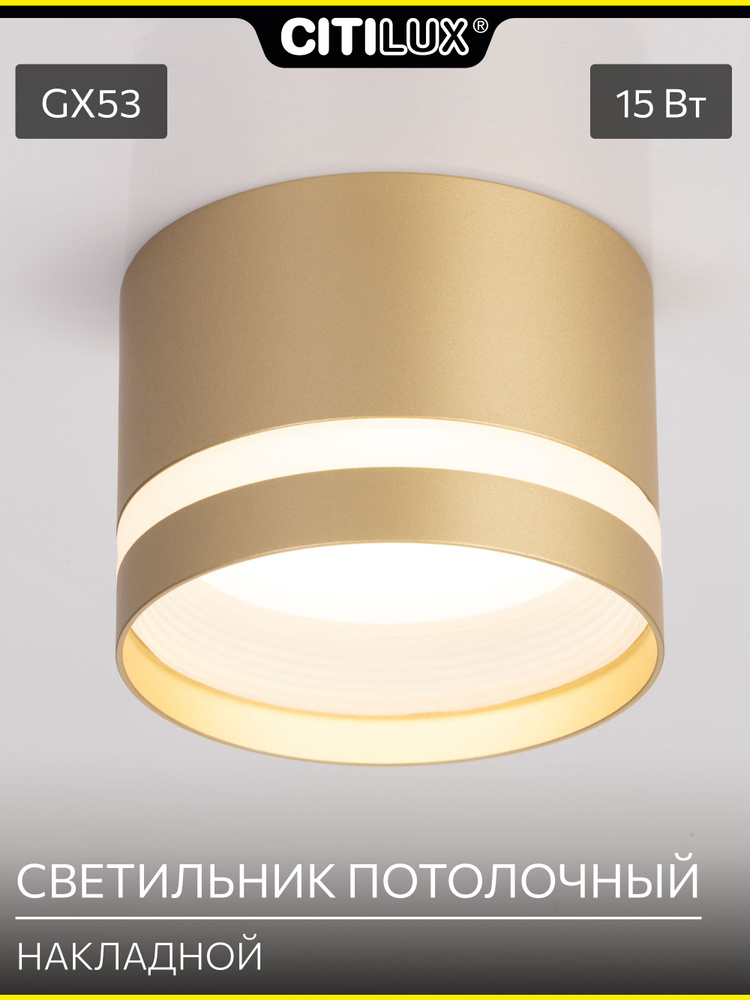 Современный накладной потолочный светильник Citilux Hardy CL002C12 ...