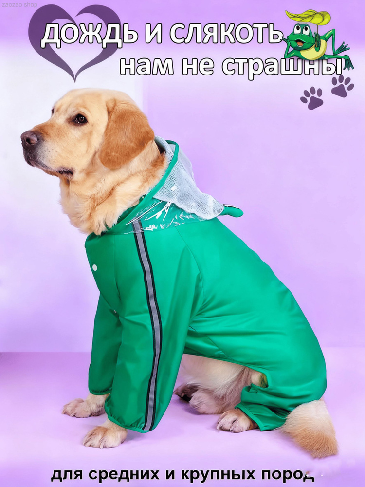 Дождевик-комбинезон Rexy crew "лягушонок" для собак средних и крупных пород, цвет зеленый ...