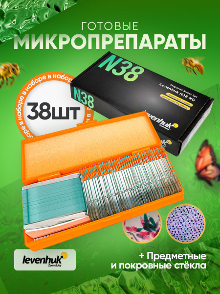 Набор микропрепаратов Levenhuk N38 NG для самостоятельных исследований ...