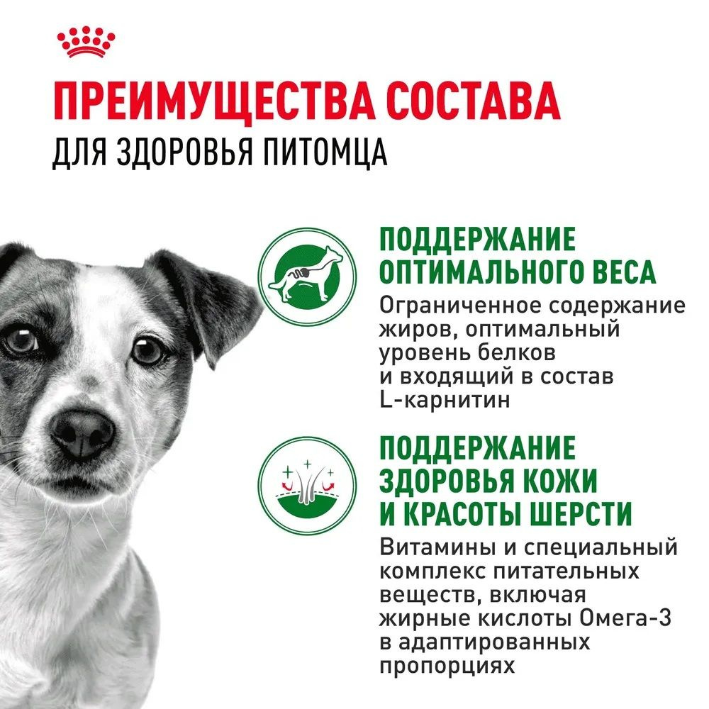 Влажный корм Royal Canin Mini Adult для взрослых собак мелких пород ...