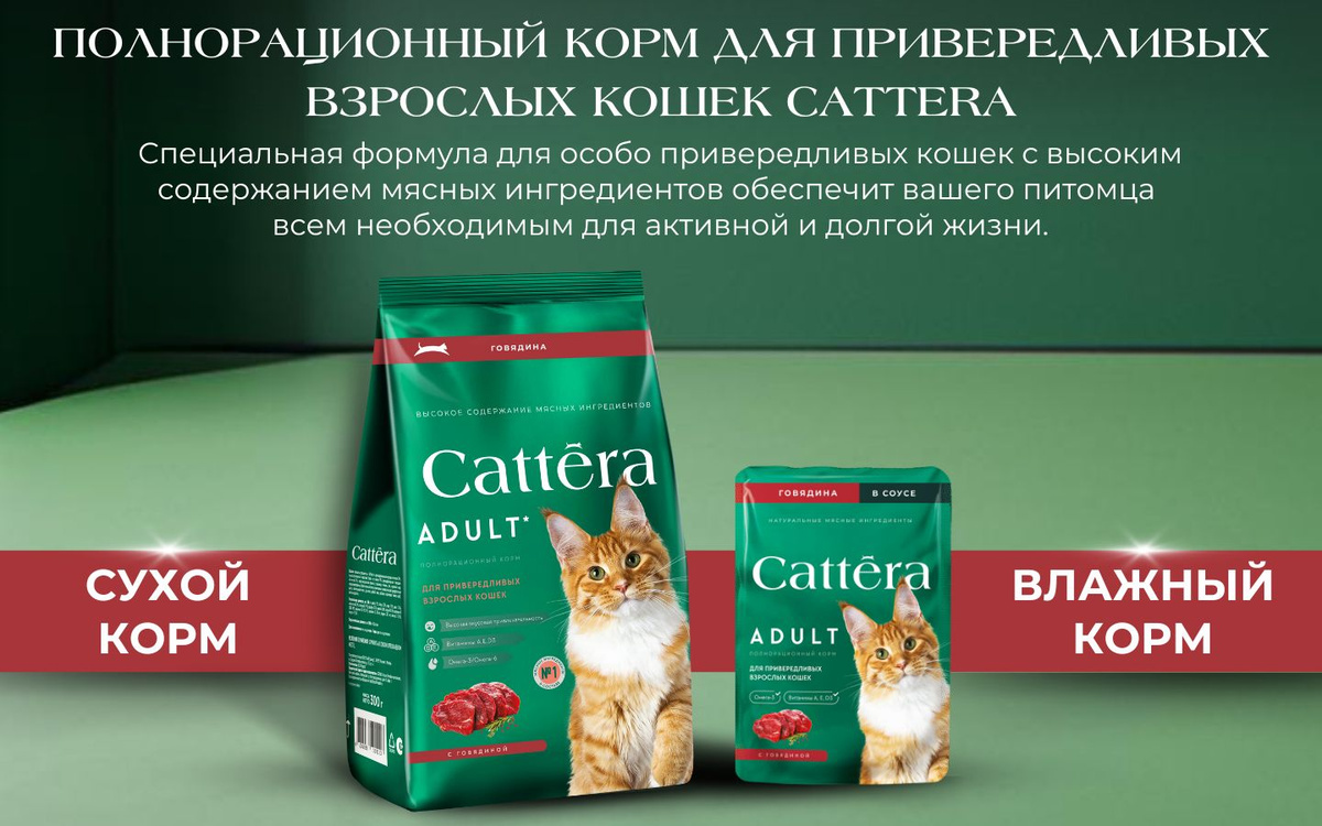 Корм для кошек влажный Cattera полнорационный с говядиной в соусе для ...