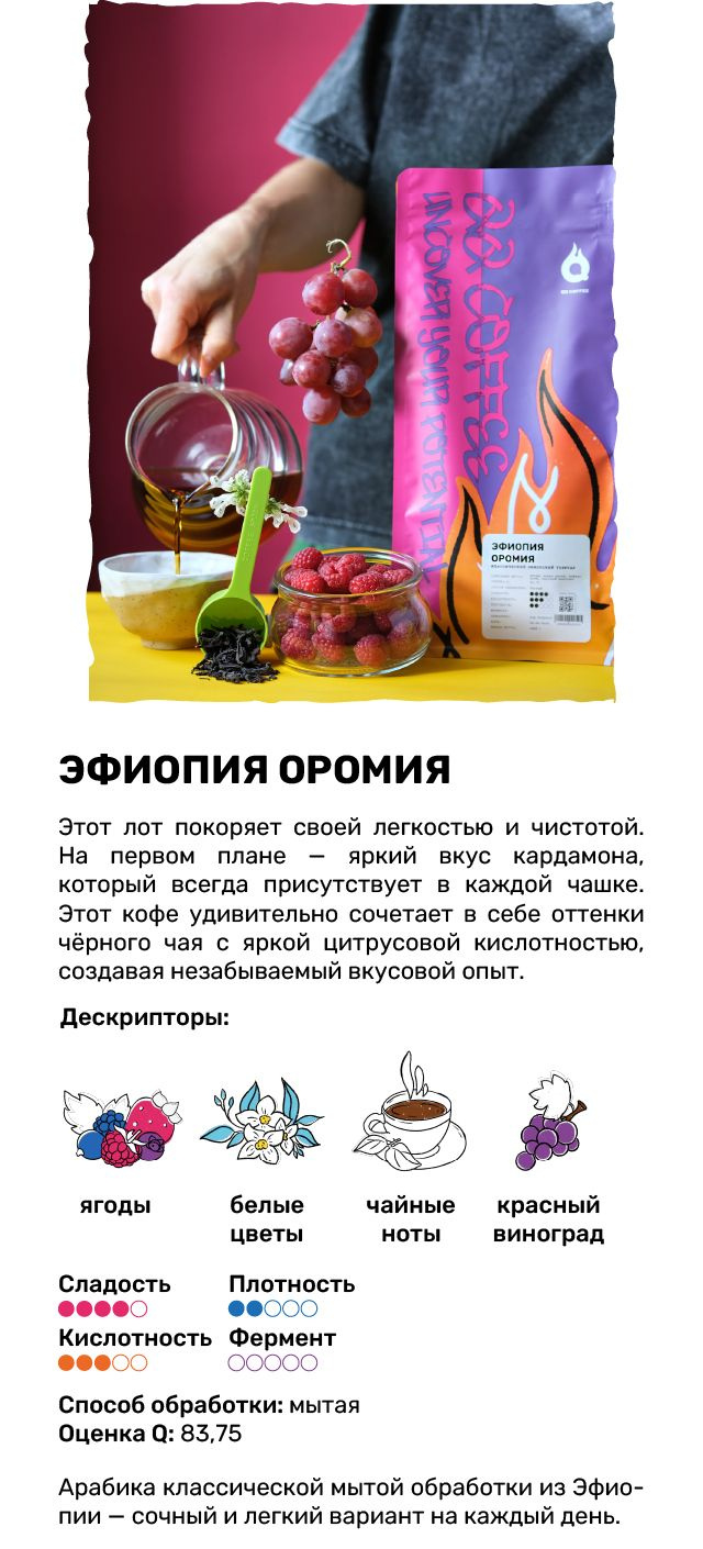Кофе в зернах QQ COFFEE Эфиопия Оромия, свежеобжаренный под фильтр, 200 г купить на OZON по ...