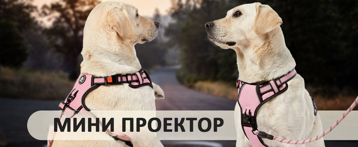 Анатомическая шлейка для собак,мелких и средних пород,размер M ...