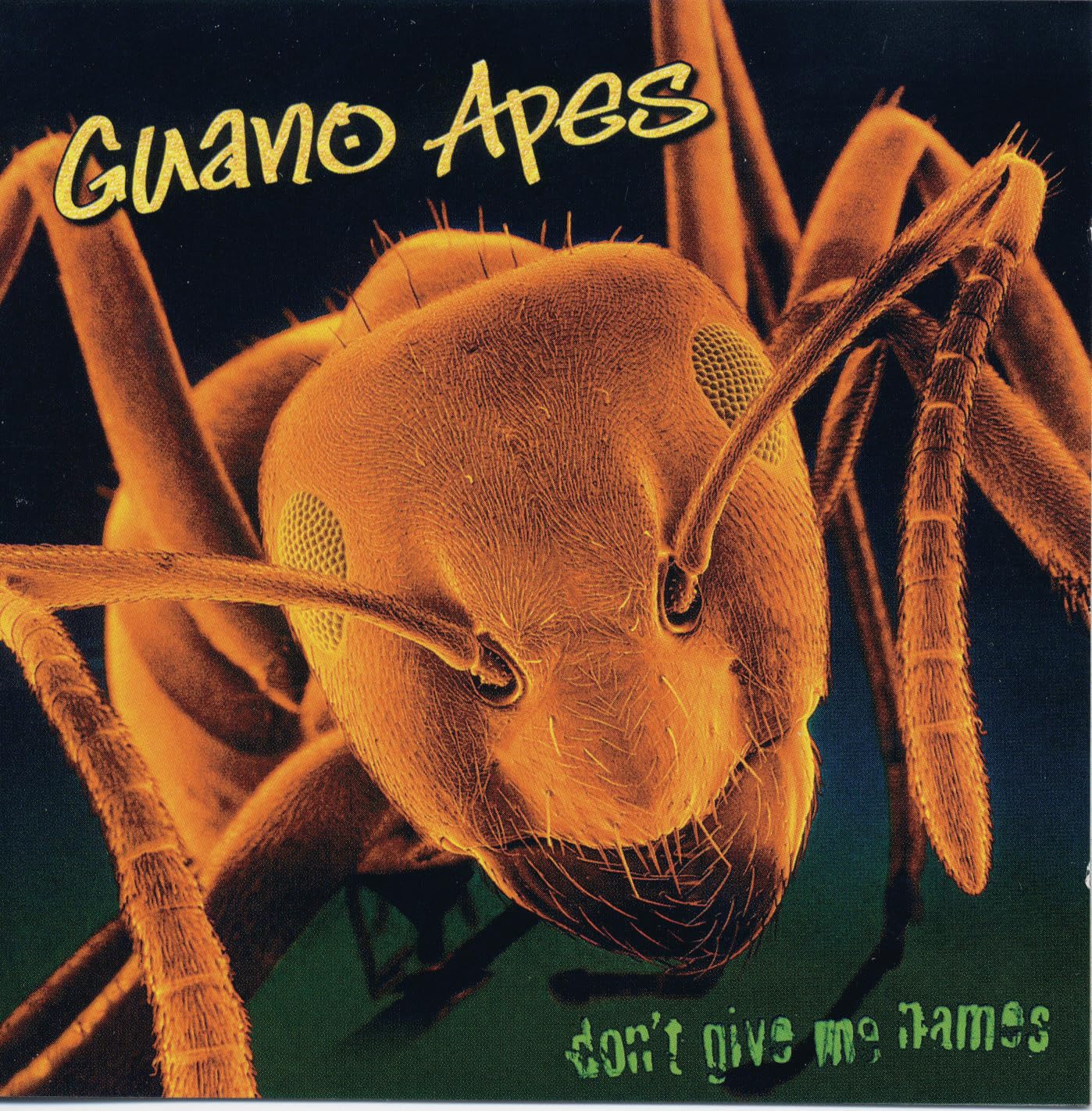 Guano Apes Don't Give Me Names 1LP виниловая пластинка купить на OZON ...