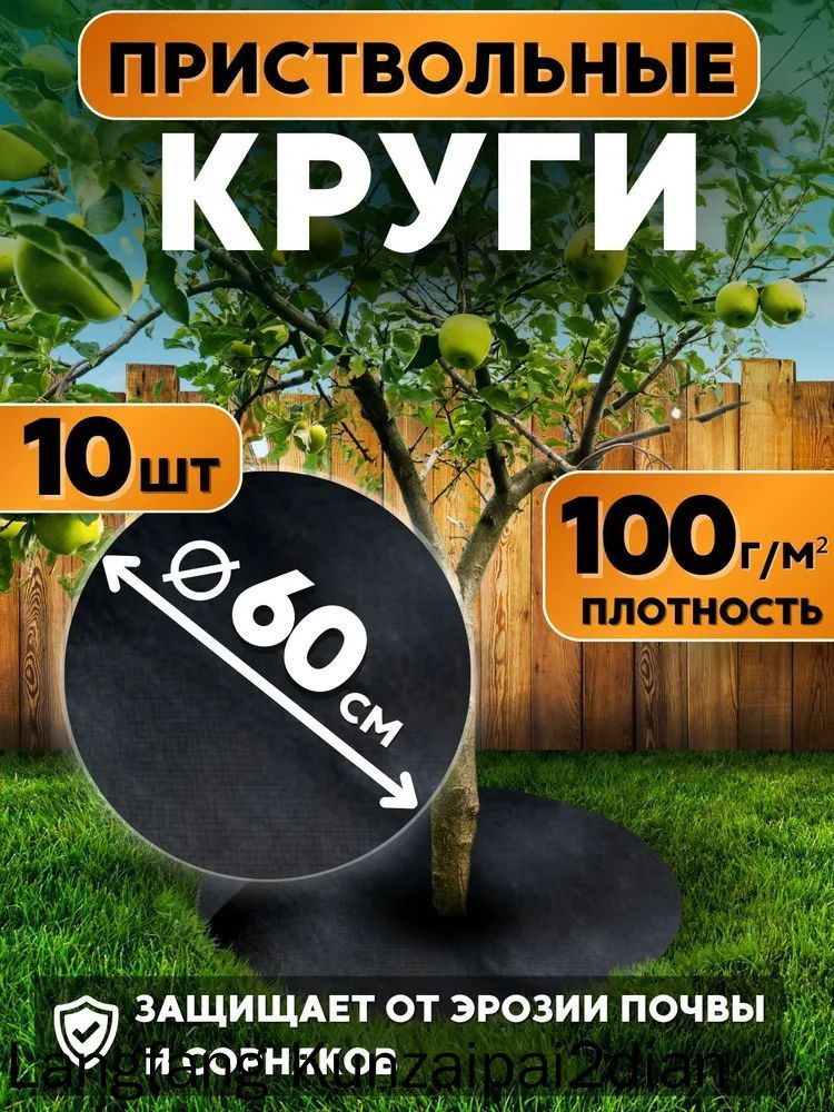 Langfang Kunzaipai2dian – официальный интернет-магазин на OZON, каталог ...
