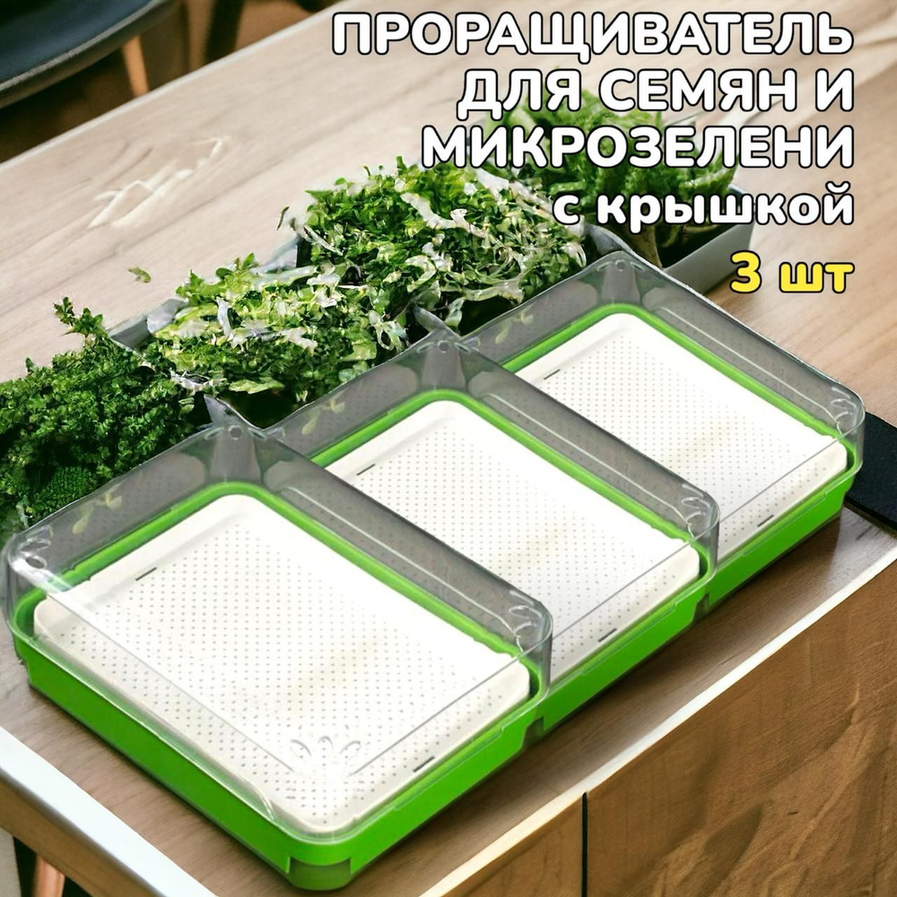 Проращиватель для семян (микрозелени ) с крышкой, набор 3 шт - купить с ...