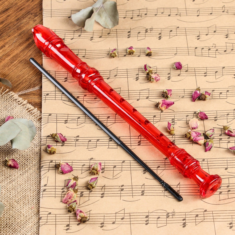 Блокфлейта Music Life, 8 отверстий, немецкая система, красная - купить ...