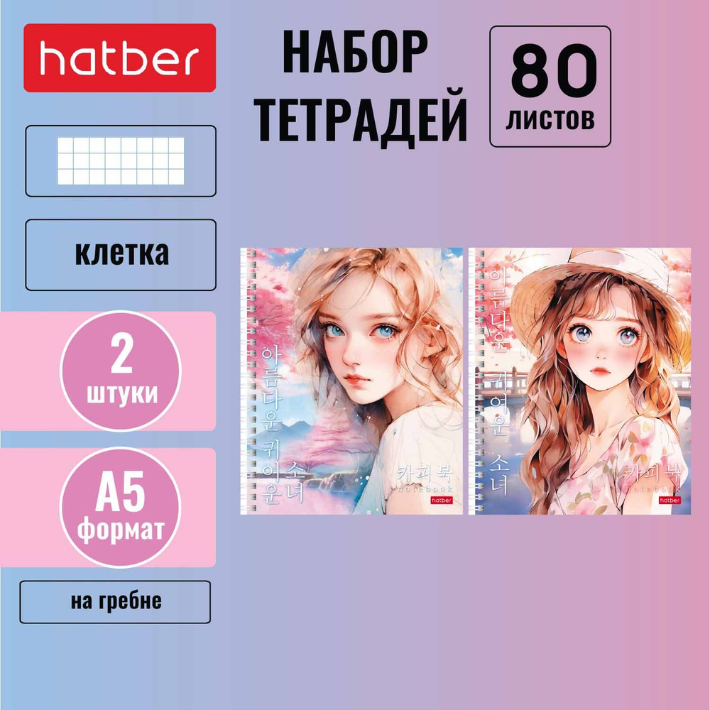 Набор тетрадей Hatber 80 листов, формата А5, в клетку, на гребне, 65 г/кв. м, 2 штуки/2 дизайна ...