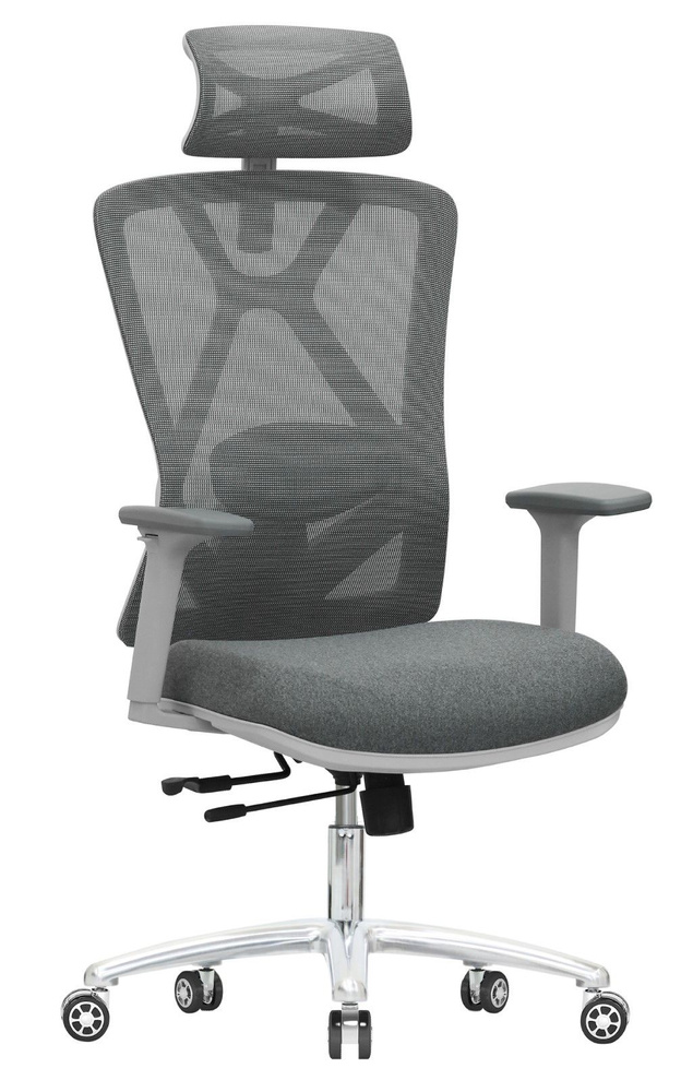 Кресло компьютерное эргономичное EVOLUTION EXO F1 Grey купить на OZON ...