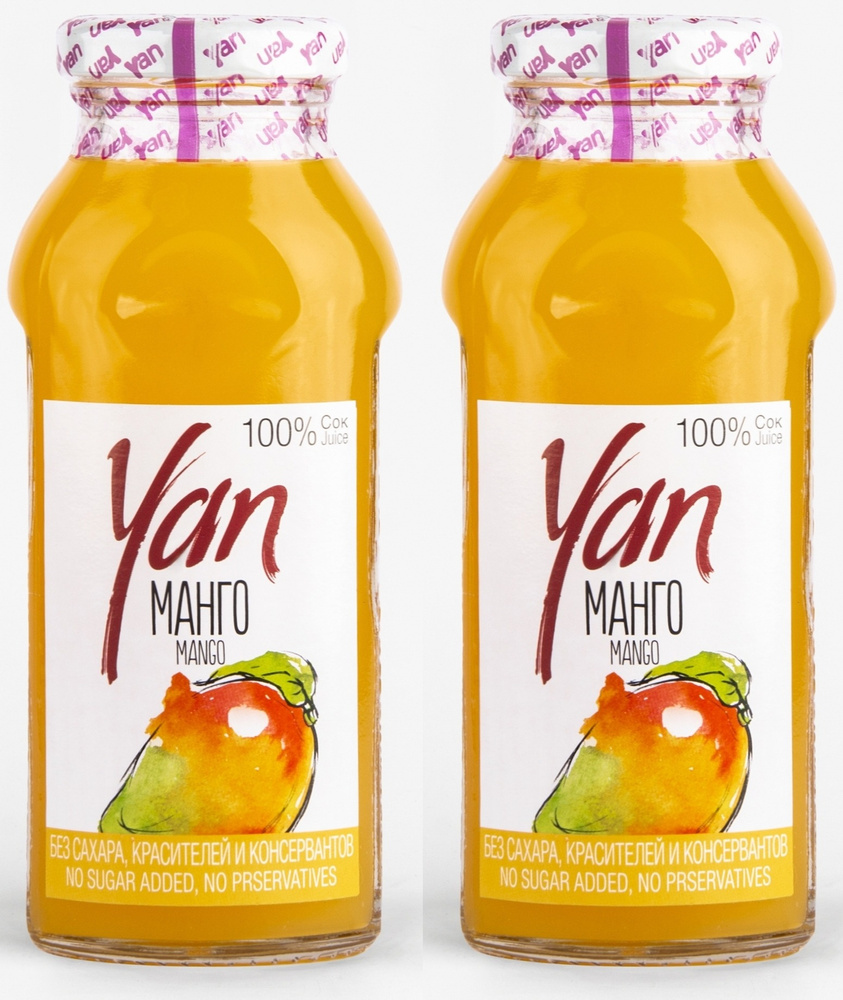 YAN Манговый сок восстановленный 2 х 250 мл купить на OZON по низкой цене (1801372048)