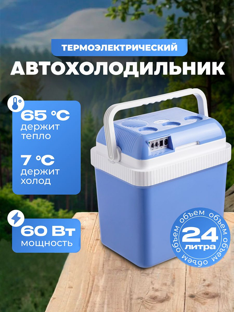 Автохолодильник Sundays SN-24, в машину, 40х30х43 см, синий купить на OZON по низкой цене ...