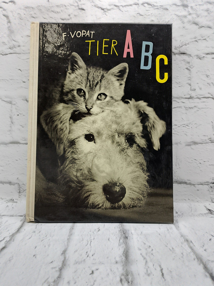 Tier ABC купить на OZON по низкой цене (2776610980)