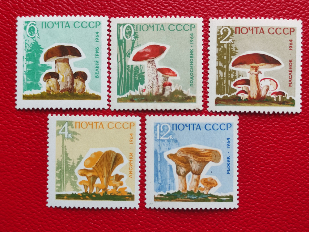 Марки СССР 1964. Чистая Серия: "Грибы'. MNH - См фото купить на OZON по низкой цене (3167174268)