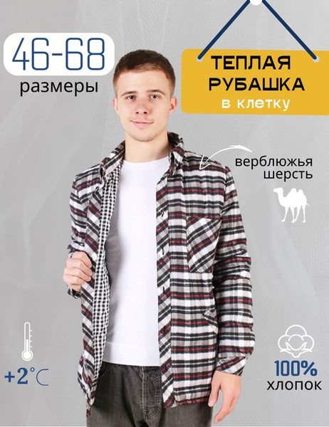 Рубашка Мужской BEBANTO бело-серый Длинный Хлопок Манжеты, Воротник Клетка, размер 50, 52 прямой ...