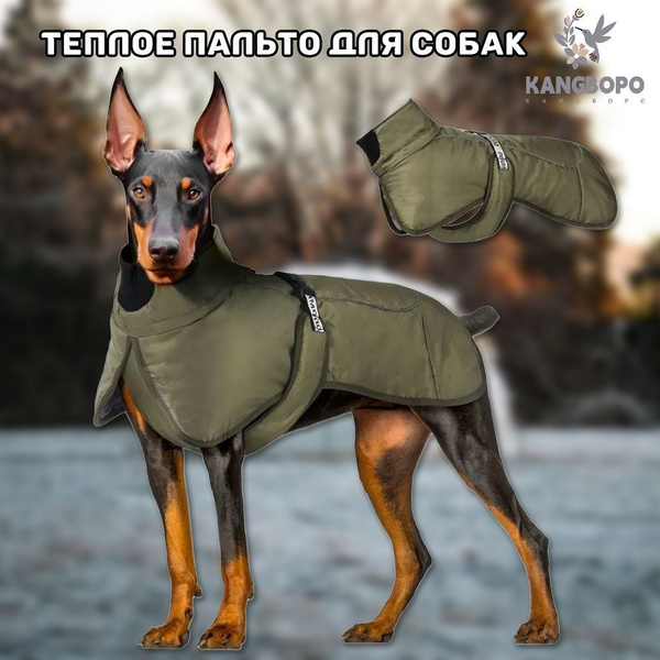 Одежда для животных/попона теплая для собак,Унисекс,6XL,синий купить на OZON по низкой цене ...