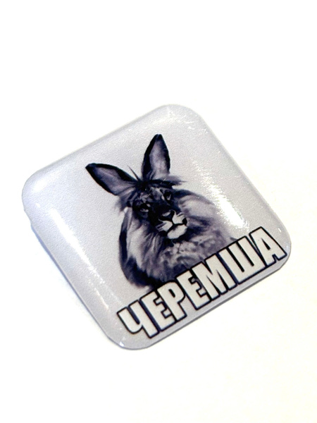 PARADIGMA - 3д стикер 3х3 см на телефон черемша мем купить на OZON по ...